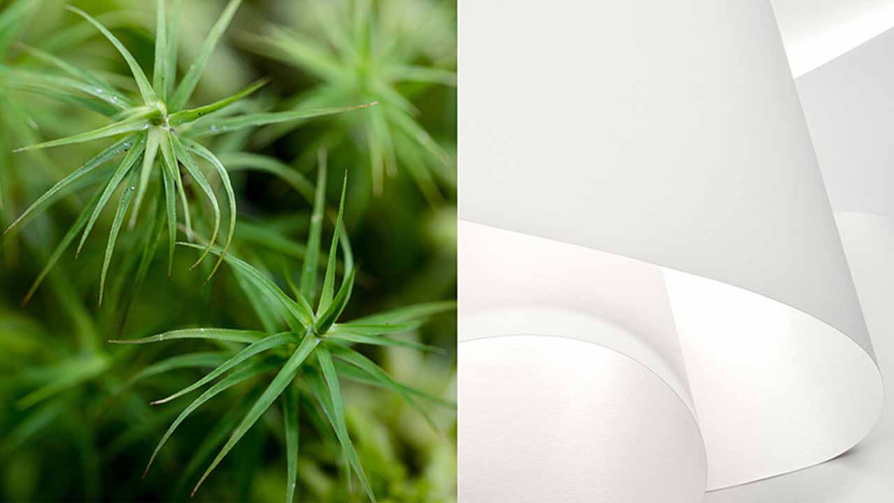 UPM shows its sustainable range at Labelexpo Europe 2023 | Labels ...