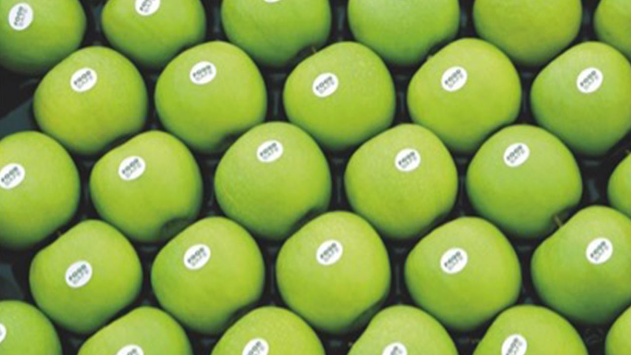 Henkel presents PSA range at Labelexpo Europe | Labels & Labeling