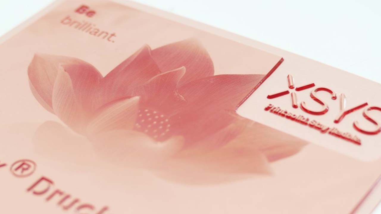 Xsys announces new CEO | Labels & Labeling