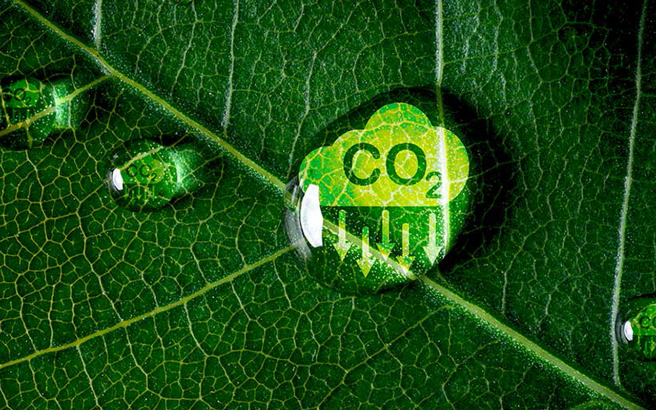 Lecta makes progress towards decarbonization | Labels & Labeling