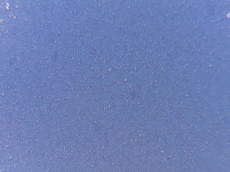 Maximizing opacity in flexo whites | Labels & Labeling