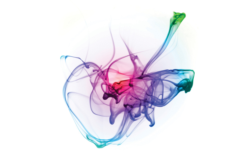 The low migration story | Labels & Labeling