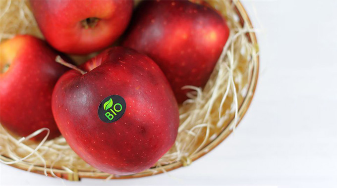 FSG launches food compliant and compostable facestock | Labels & Labeling