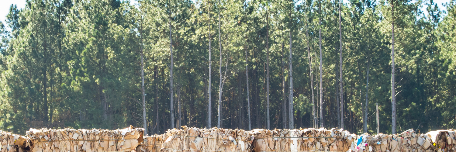 Labelnet launches sustainable label range | Labels & Labeling