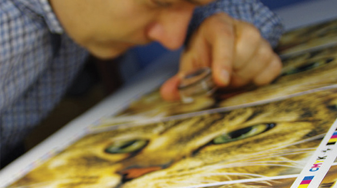 Mactac launches The Digital Download blog | Labels & Labeling