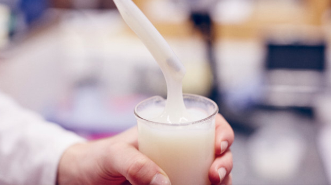 cph develops starch-based labeling adhesive | Labels & Labeling