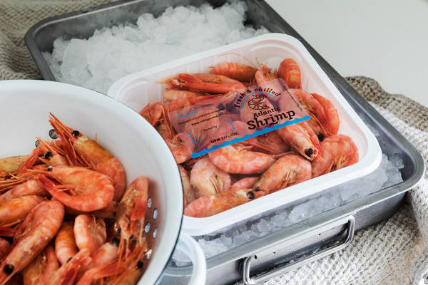 UPM Raflatac launches RP48 acrylic adhesive for SEA | Labels & Labeling