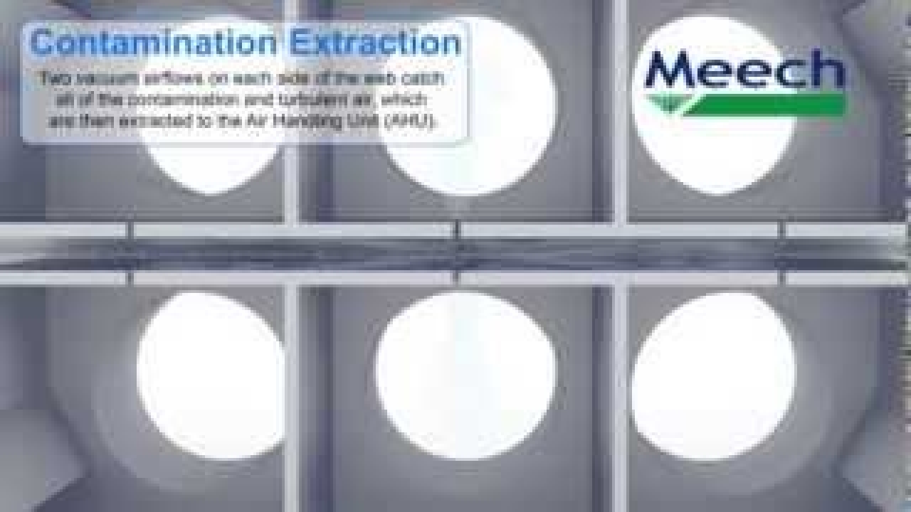 Meech | Labels & Labeling