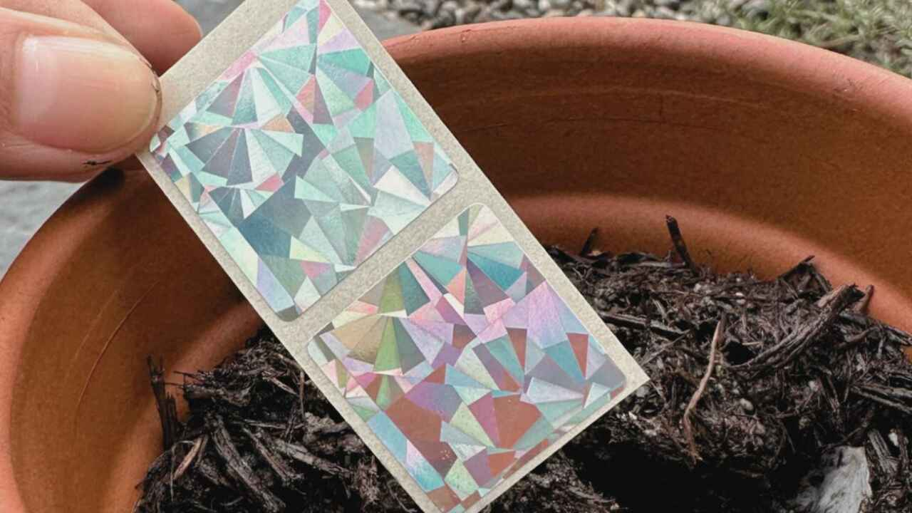 Eco-friendly paper holograms on the rise | Labels & Labeling