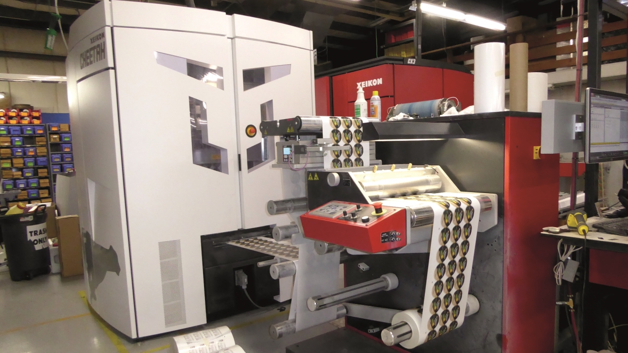 Action stations | Labels & Labeling