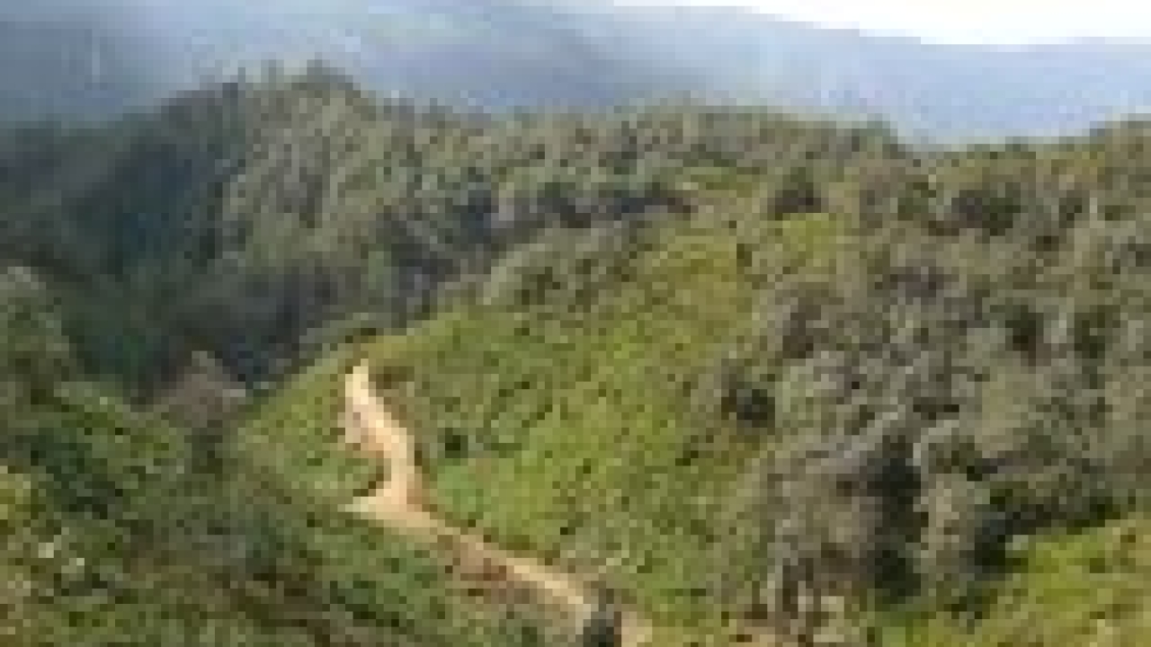 Flint Ink and Sicpa Finalize Transactions | Labels & Labeling